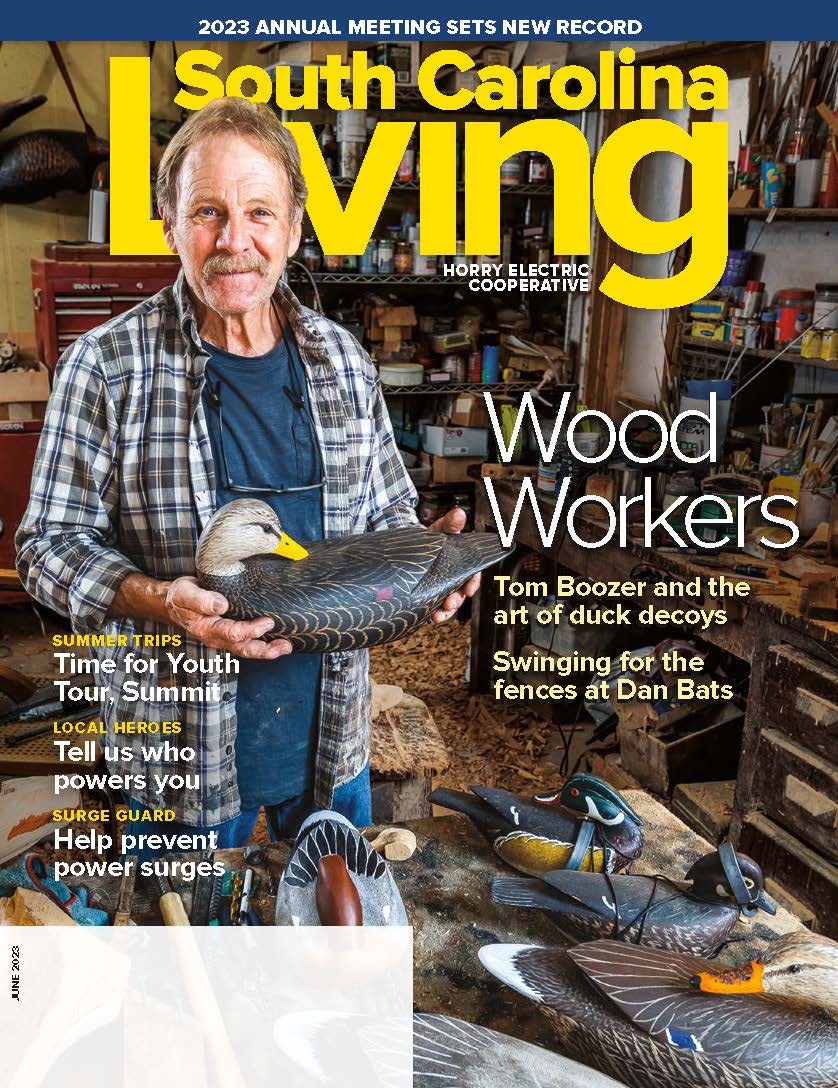 June and July editions of SCL online! - Horry Electric Cooperative, Inc.